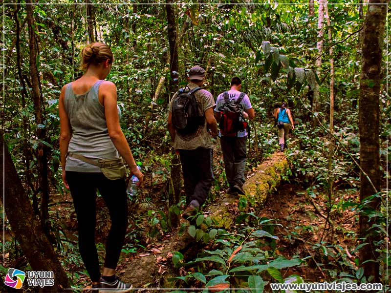 MADIDI AND YACUMA PAMPAS TOUR – BOLIVIA 5 DAYS / 4 NIGHTS - UYUNI VIAJES