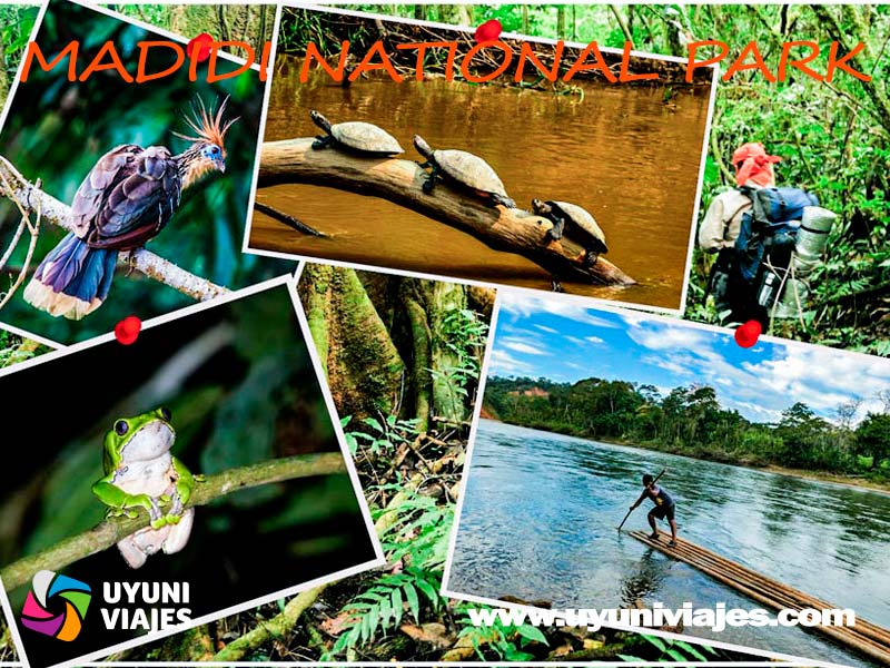 Madidi National Park