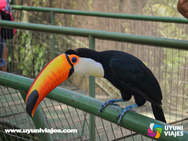 GUEMBE BIOCENTER TOUR - SANTA CRUZ FULL DAY - UYUNI VIAJES